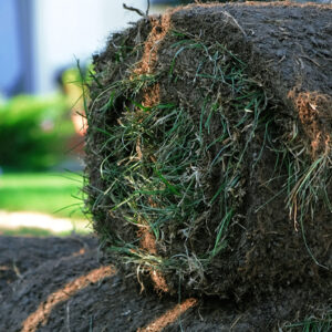 Premium Sod Solutions at Crossroads Sod Farm, Tennessee